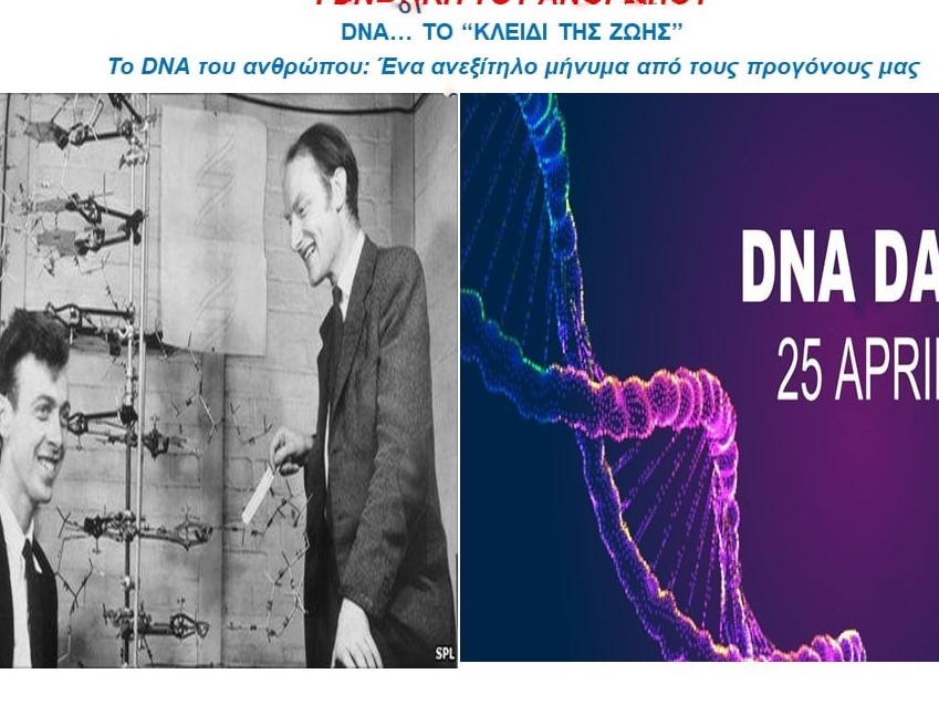 Το DNA του ανθρώπου: Ένα ανεξίτηλο μήνυμα από τους προγόνους μας ...